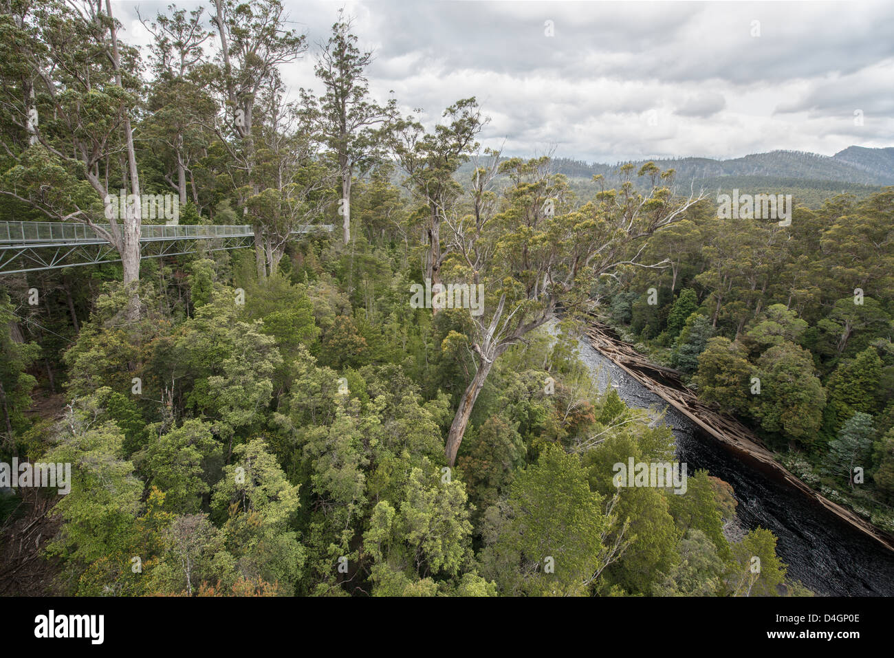 A bird's eye view of the spectacular Huon river and forest from the ...