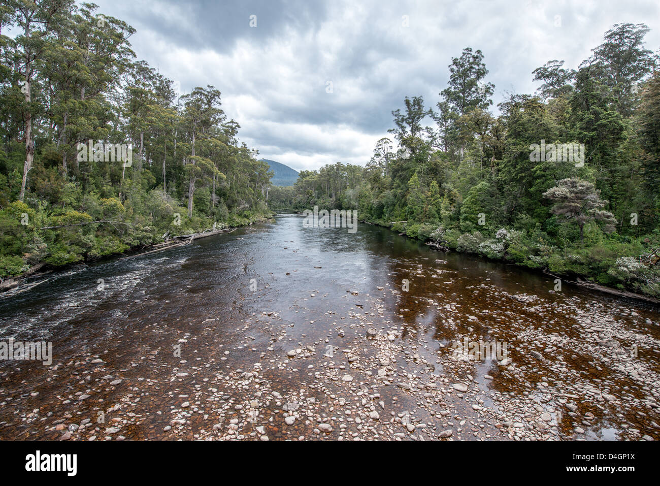 The spectacular Huon river and forest near the Tahune Forest, Tasmania ...