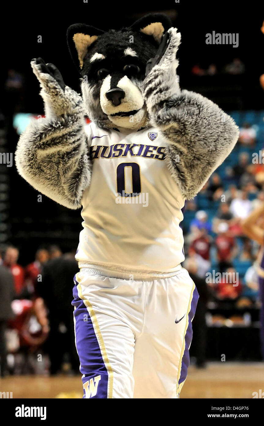 March 13, 2013 Las Vegas, NV.Washington Huskies Mascot Harry performs ...