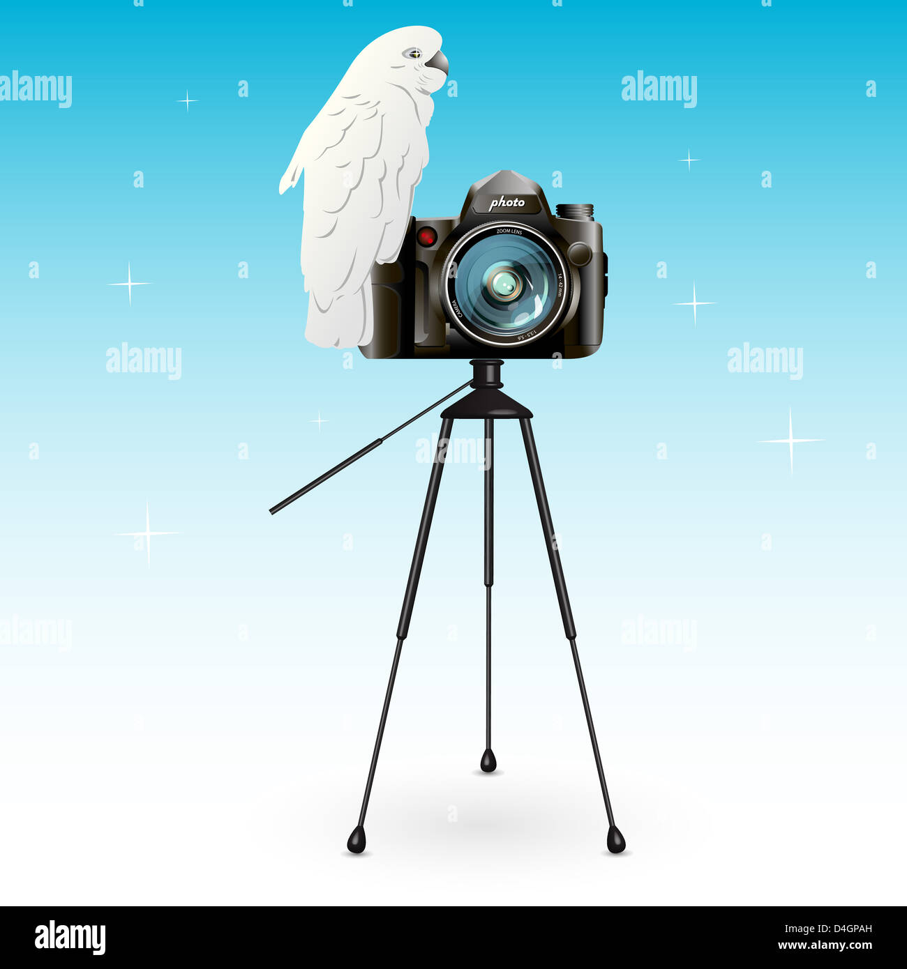 white parrot sitting on photo to camera Stock Photo - Alamy
