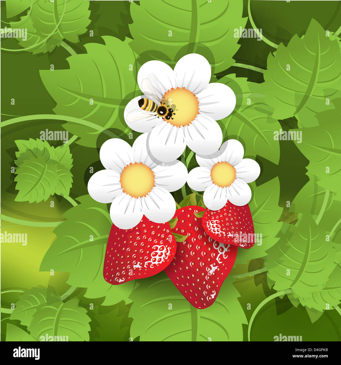 illustration, red strawberry, white flower and bee Stock Photo - Alamy