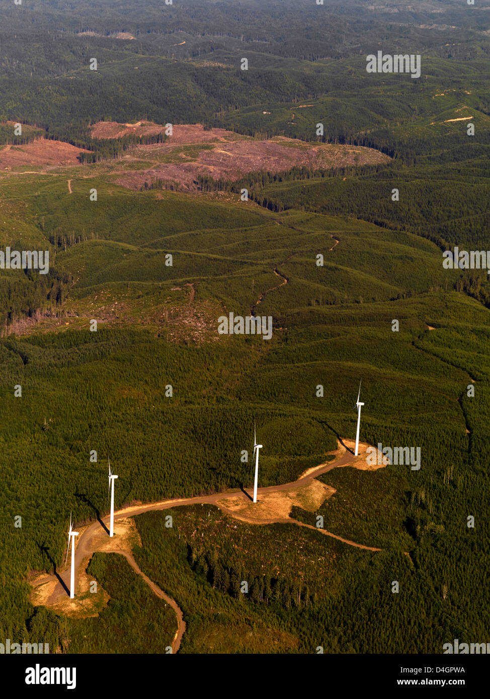 Logging Aerial High Resolution Stock Photography and Images - Alamy