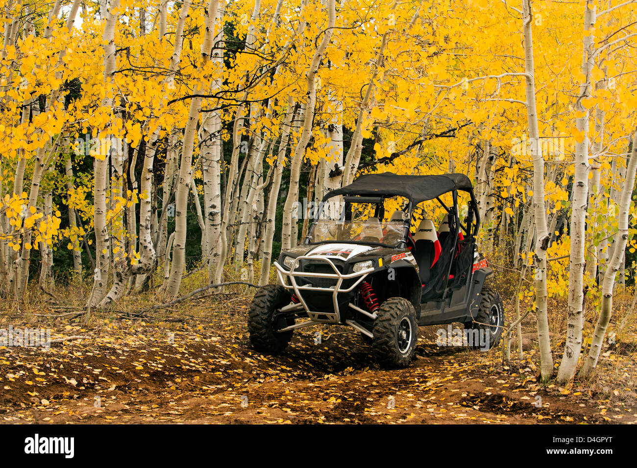 Sport vehicle Polaris RZR mountain forest. Fun outdoor recreation ...