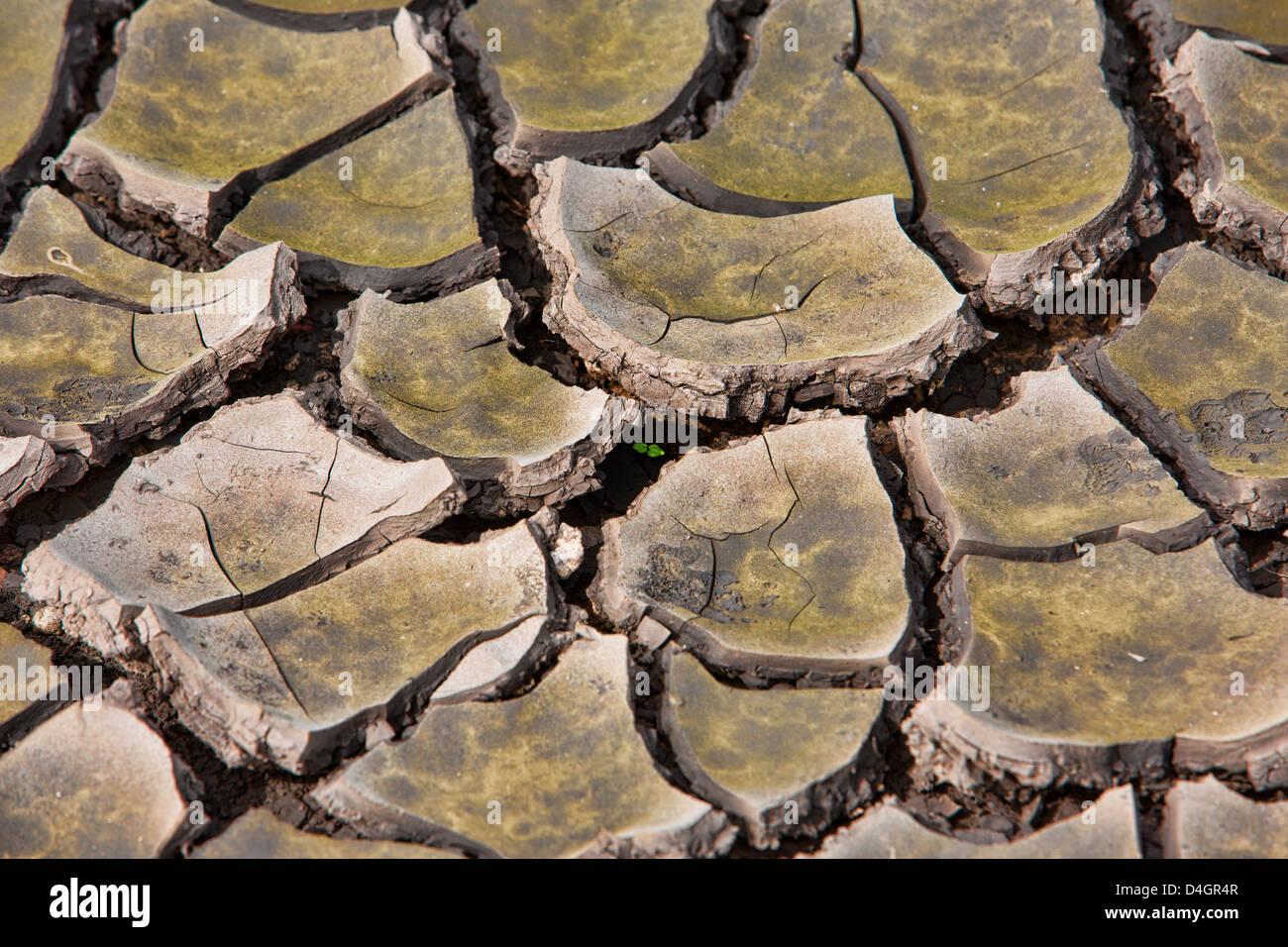 Flood drought cracked mud Stock Photo - Alamy