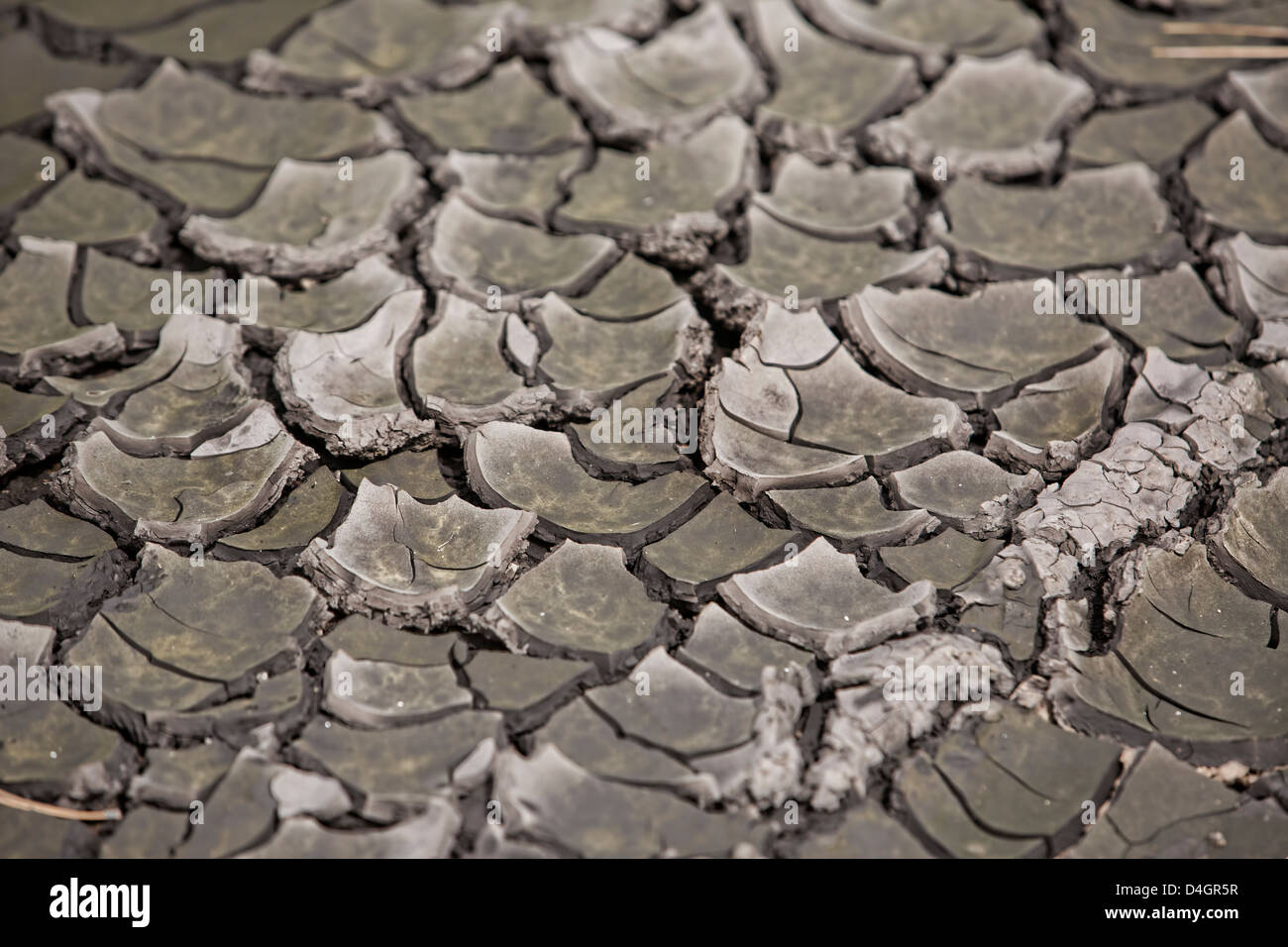 Flood drought cracked mud Stock Photo - Alamy