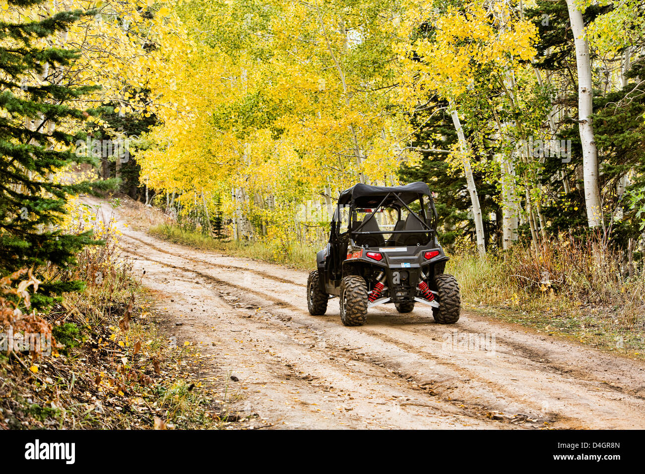 Sport vehicle Polaris RZR mountain forest. Fun outdoor recreation ...