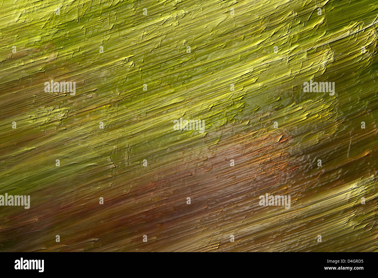 Bast High Resolution Stock Photography and Images - Alamy