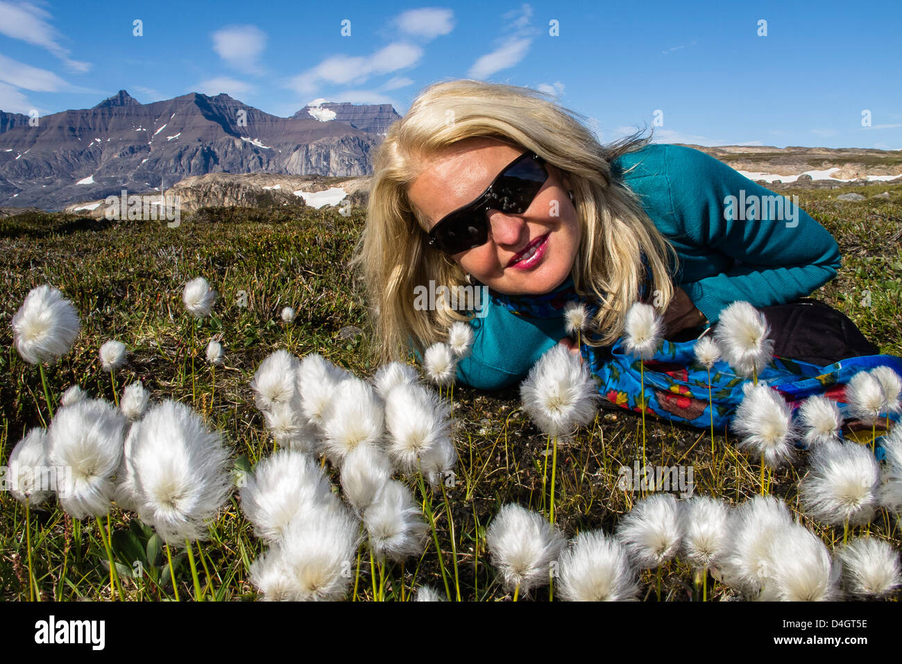 Leslie Amaral with Arctic cottongrass (Eriophorum callitrix), Heckla ...
