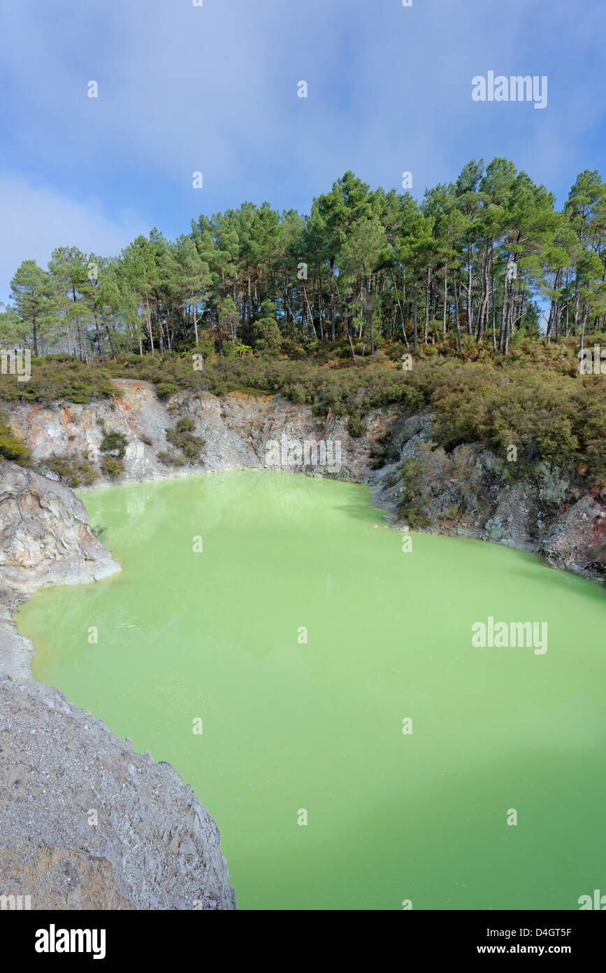 Devil's Bath, Waiotapu Thermal Area, Rotorua, North Island, New Zealand ...