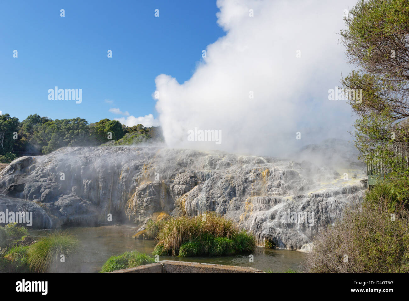 Pohutu Geyser and Prince of Wales Geyser, Rotorua, North Island, New ...