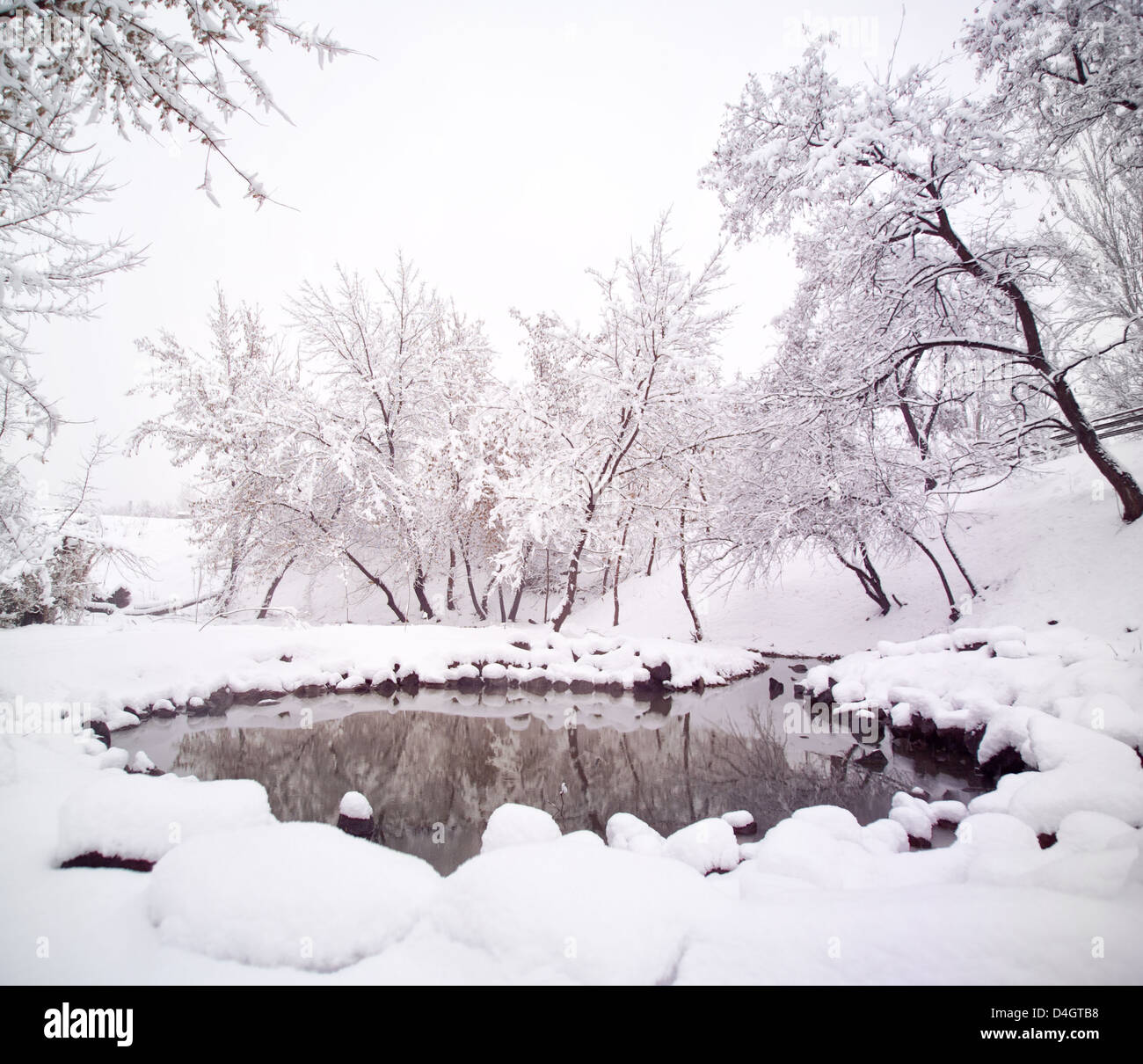Overhanging trees background hi-res stock photography and images - Alamy