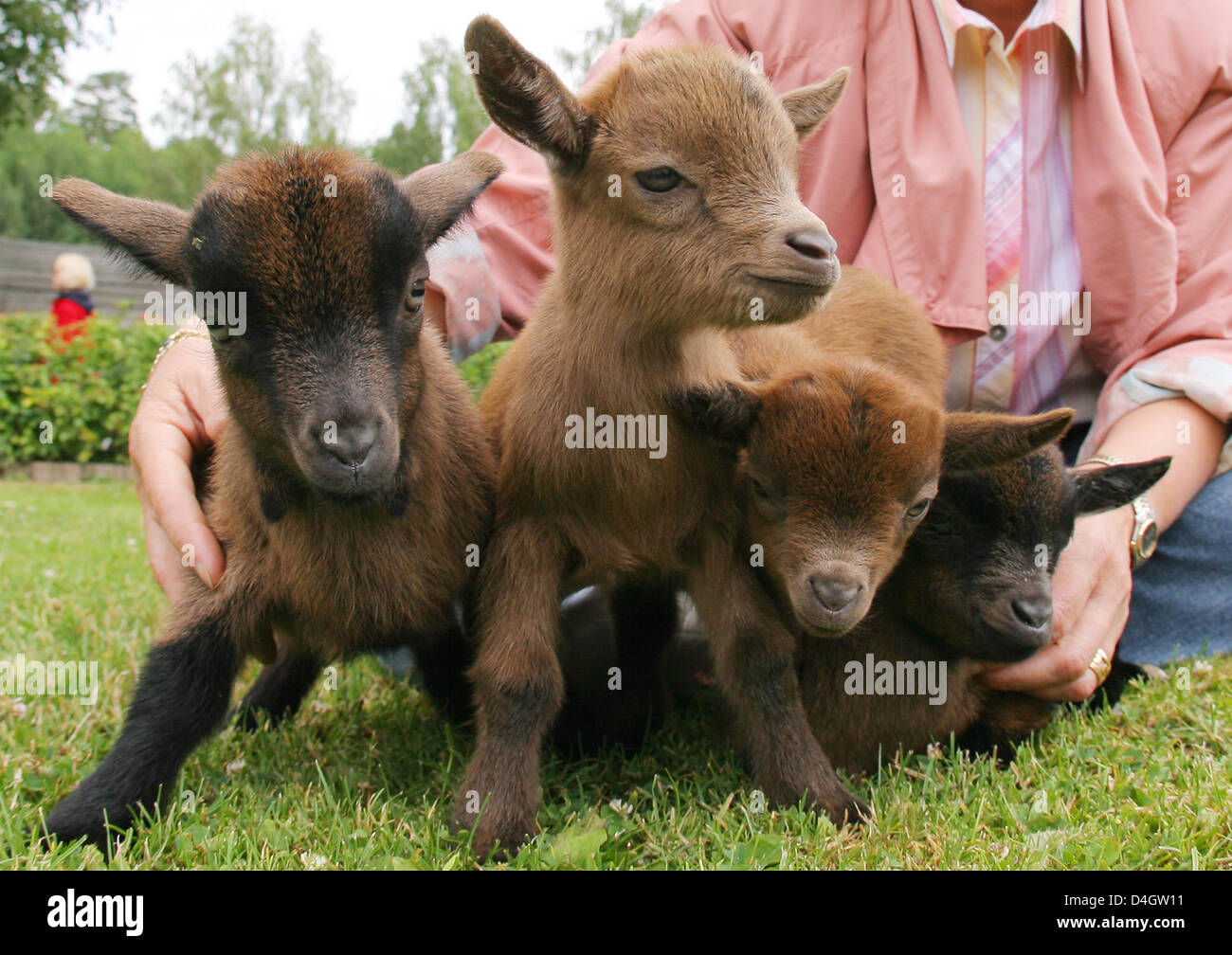 The quadruplets hi-res stock photography and images - Alamy
