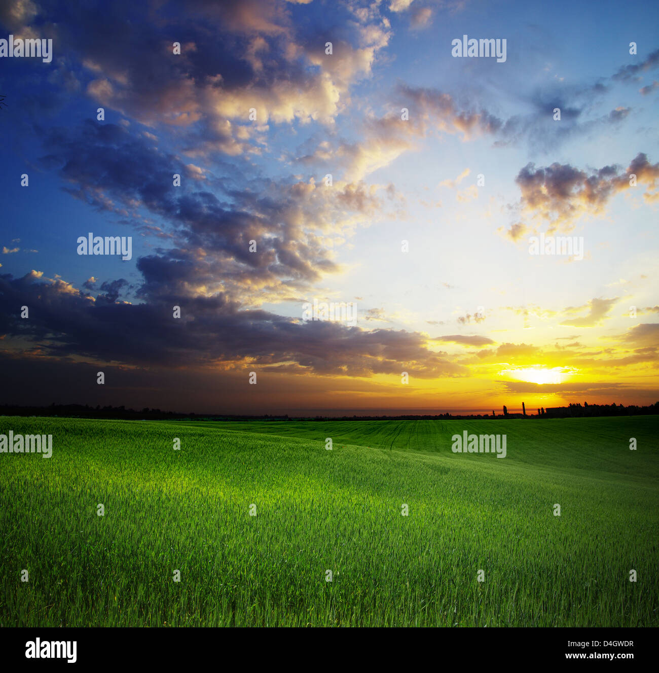 dark clouds over field with grass Stock Photo - Alamy