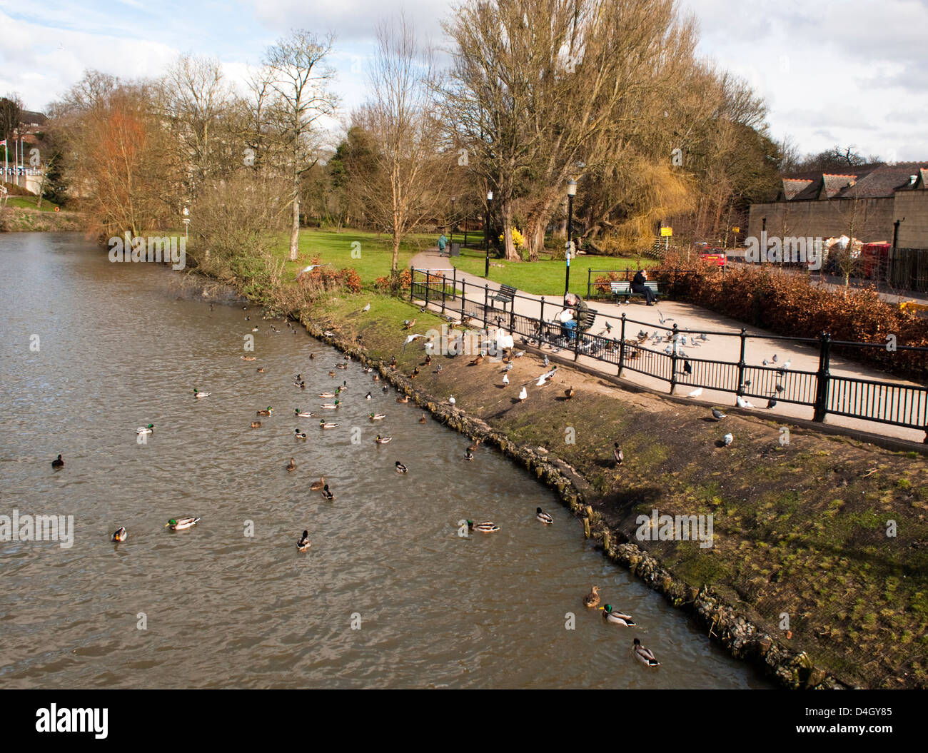 River avon at chippenham hi-res stock photography and images - Alamy