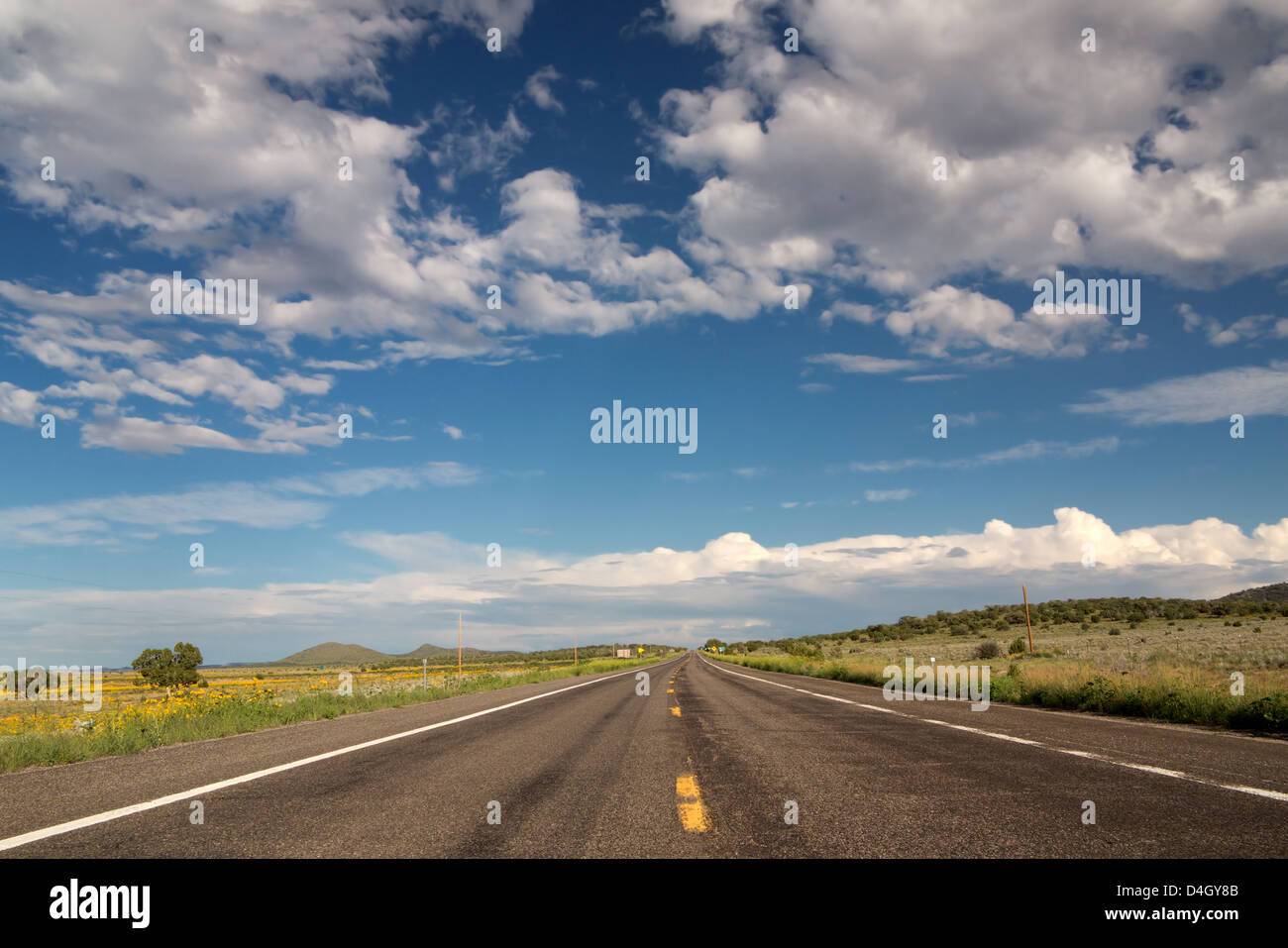 Route 66 road marking route hi-res stock photography and images - Alamy