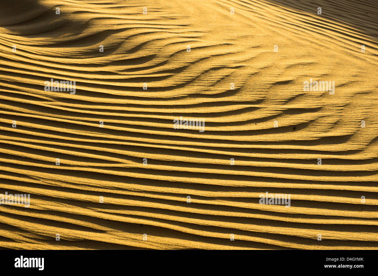 Sand texture in Gold desert Stock Photo - Alamy