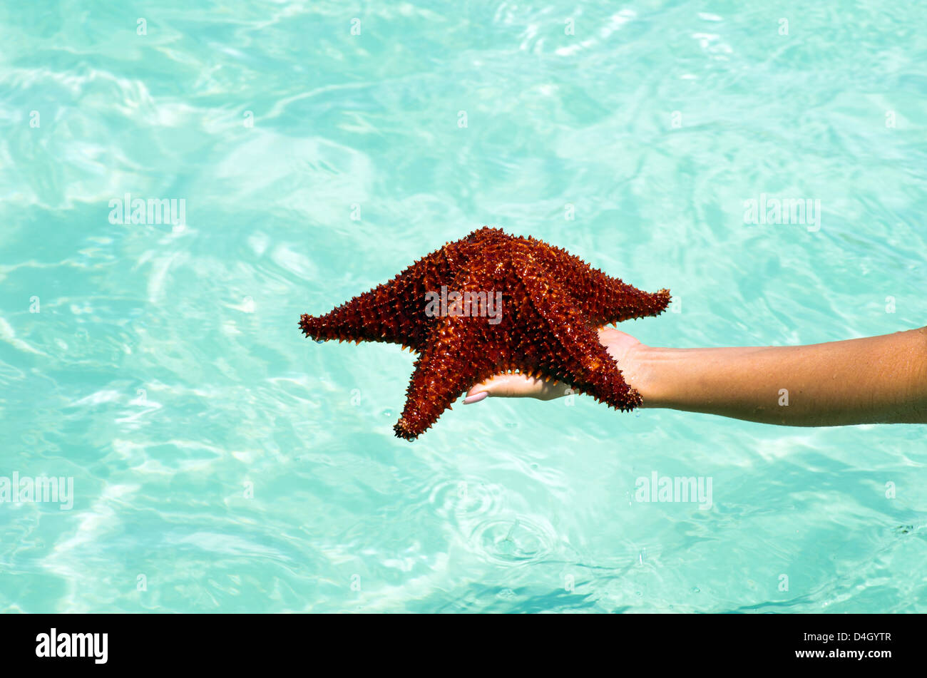 Hand heaven hi-res stock photography and images - Alamy