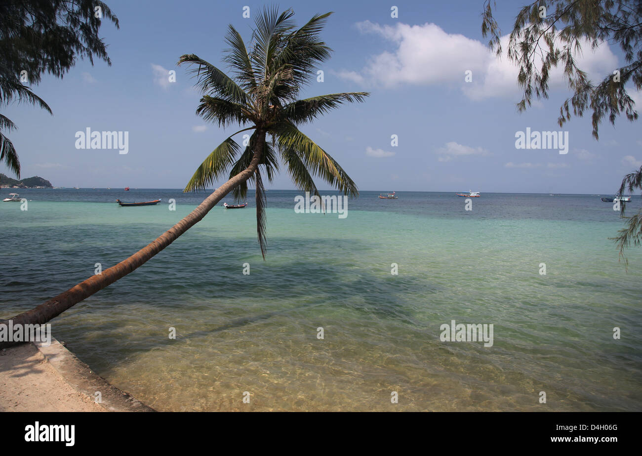 Sairee Beach, Koh Tao, Thailand Stock Photo - Alamy