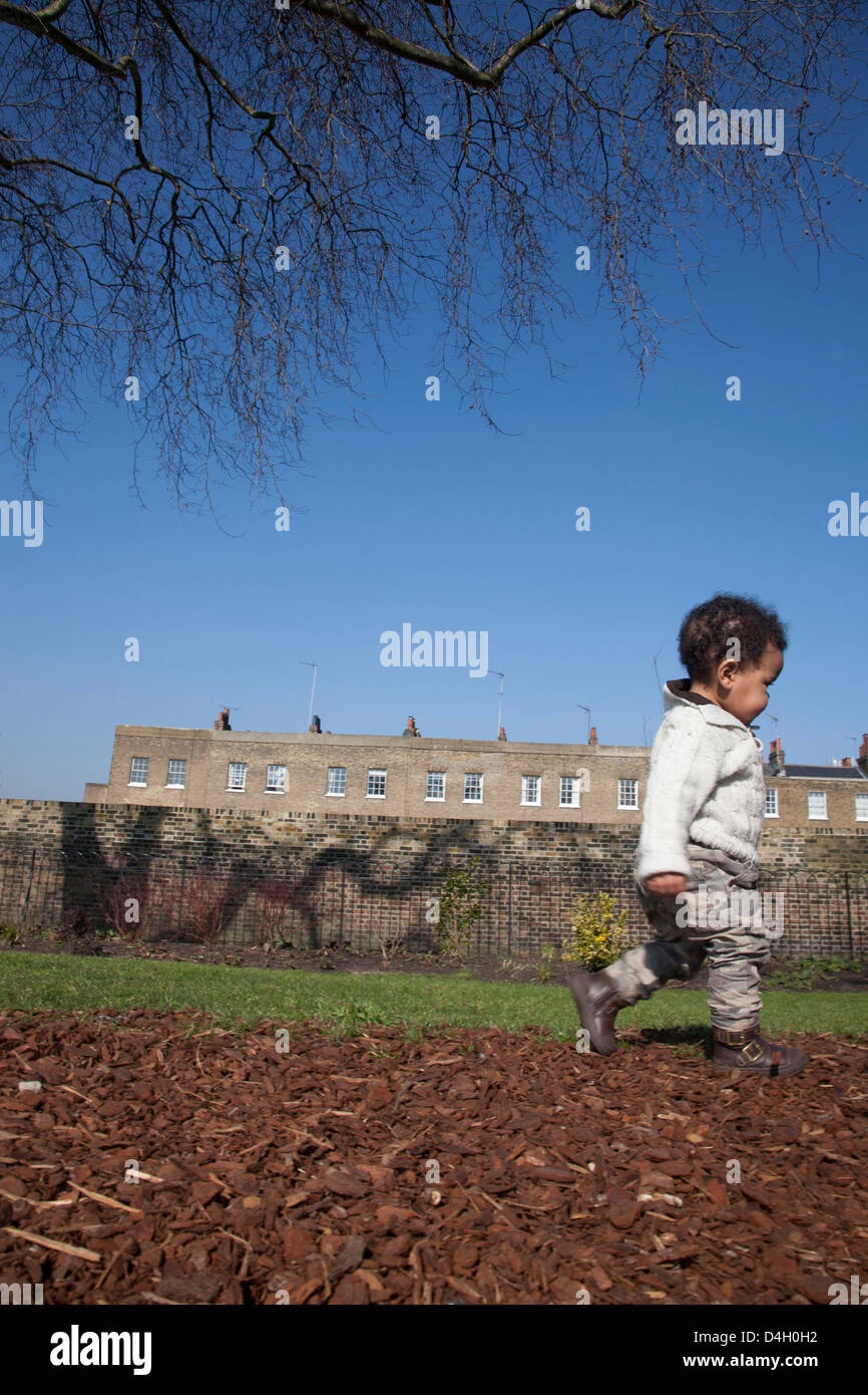 Walking tree hi-res stock photography and images - Alamy