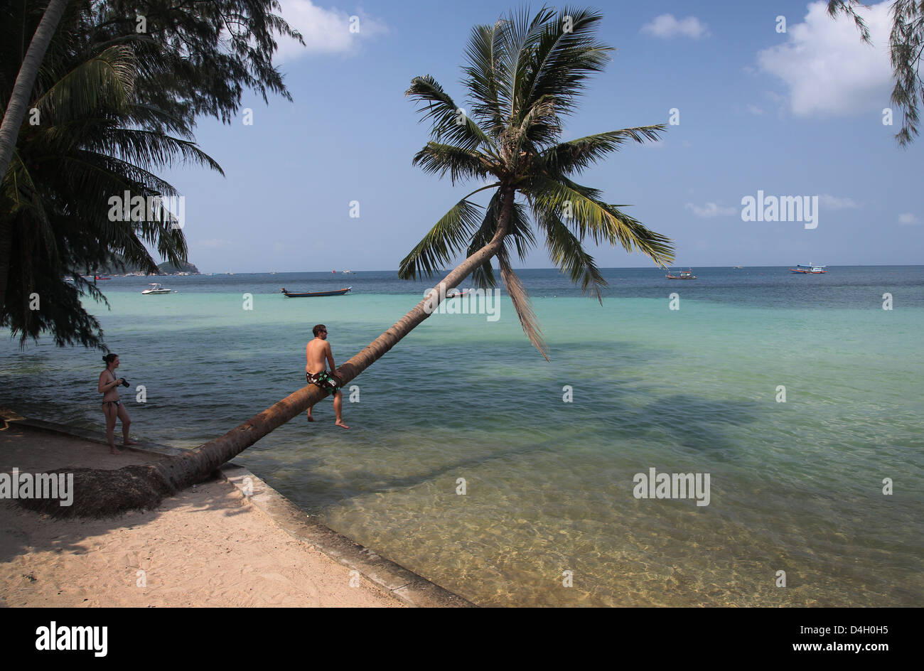 Sairee Beach, Koh Tao, Thailand Stock Photo - Alamy
