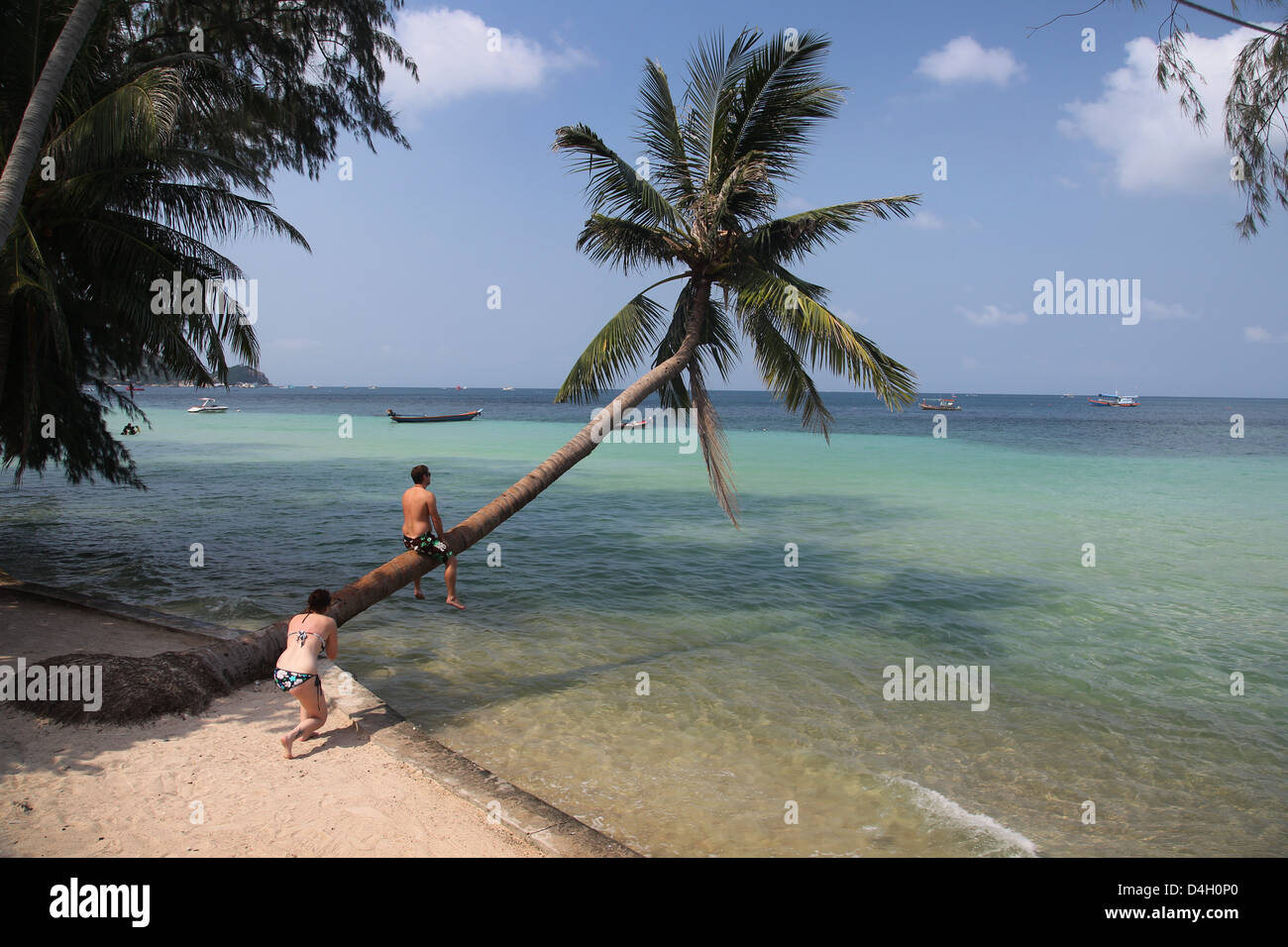 Sairee Beach, Koh Tao, Thailand Stock Photo - Alamy
