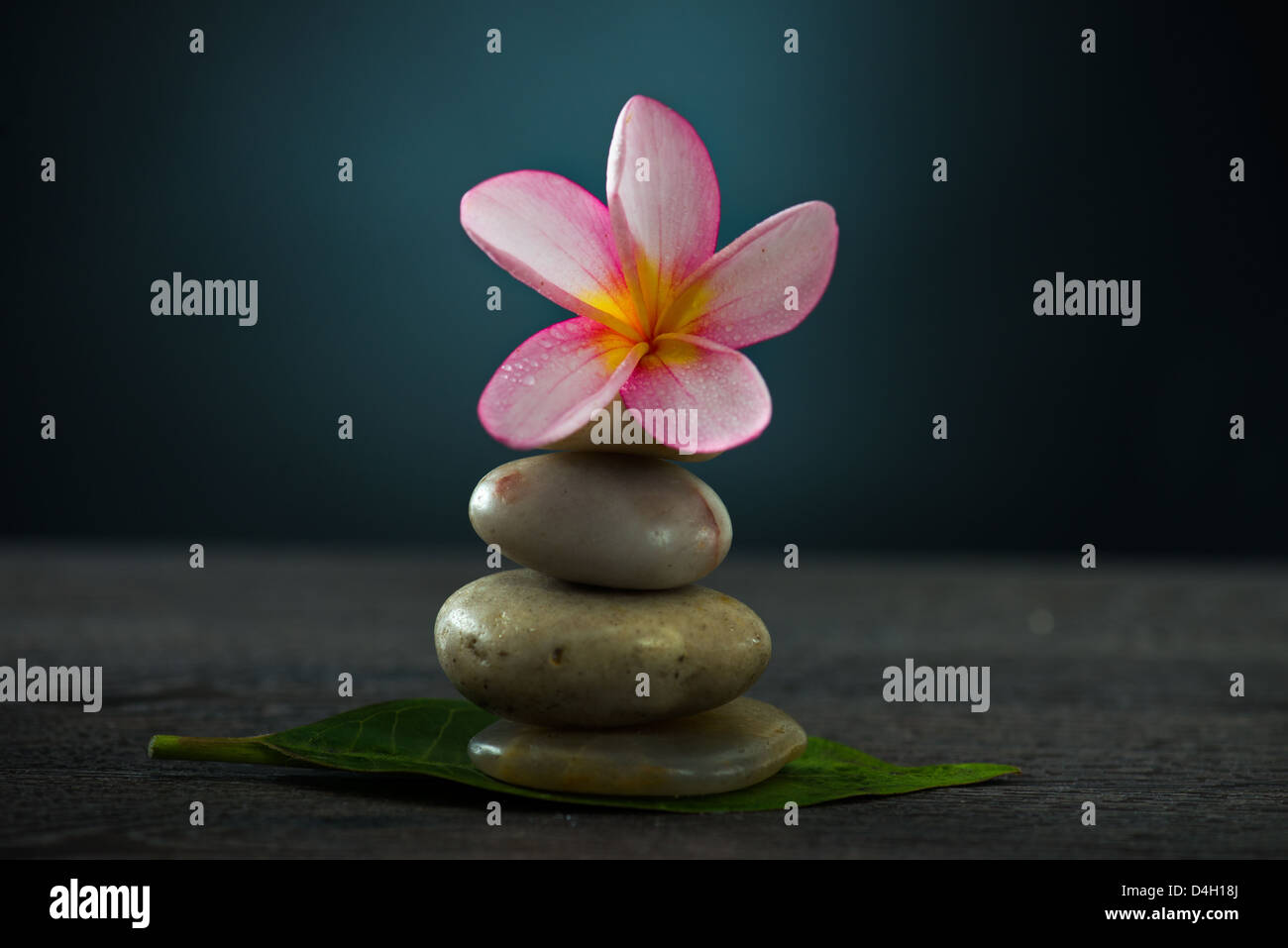 Spa concept in dark background with ambient lights and cold stones ...