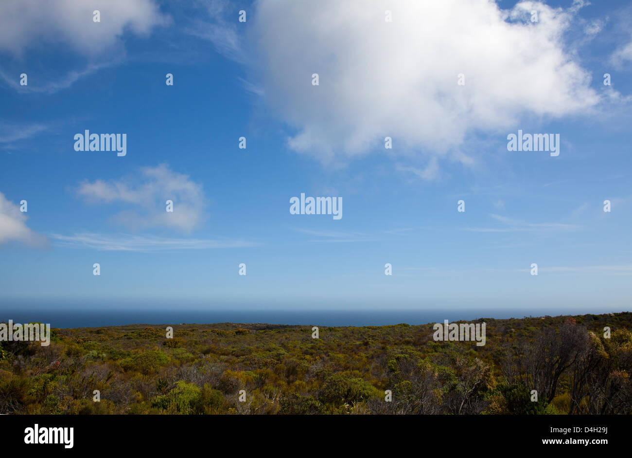 Cape of Good Hope, Cape Point Landscape - Western Cape - South Africa ...