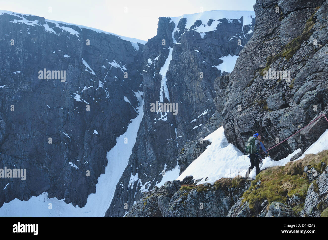 Climber on the Eastern Traverse of Tower Ridge on Ben Nevis, a popular ...