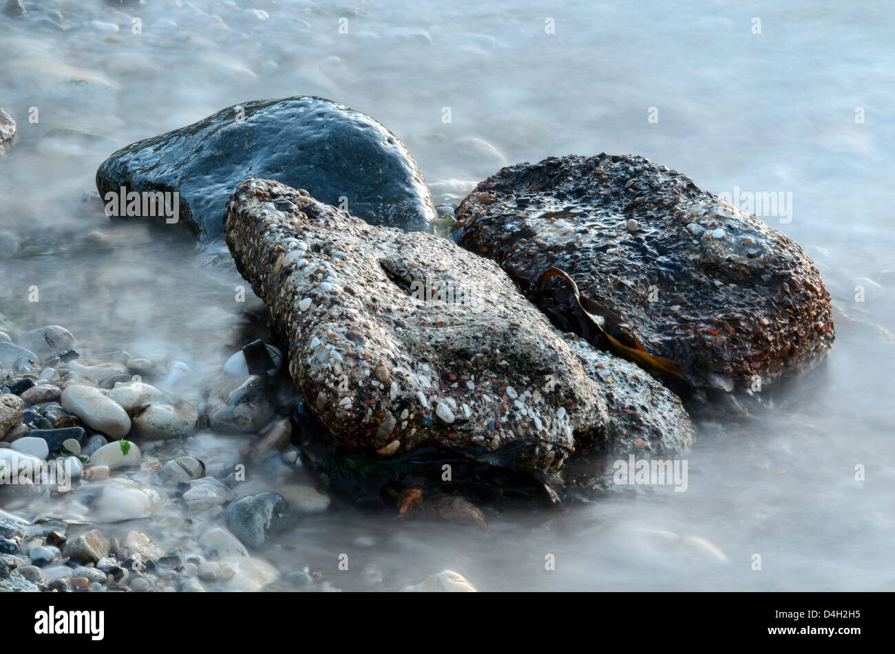 Water seaweed rocks hi-res stock photography and images - Alamy