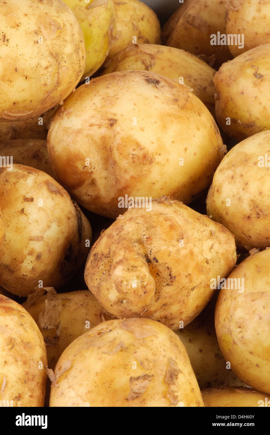 Young raw potato as background. Close - up Stock Photo - Alamy
