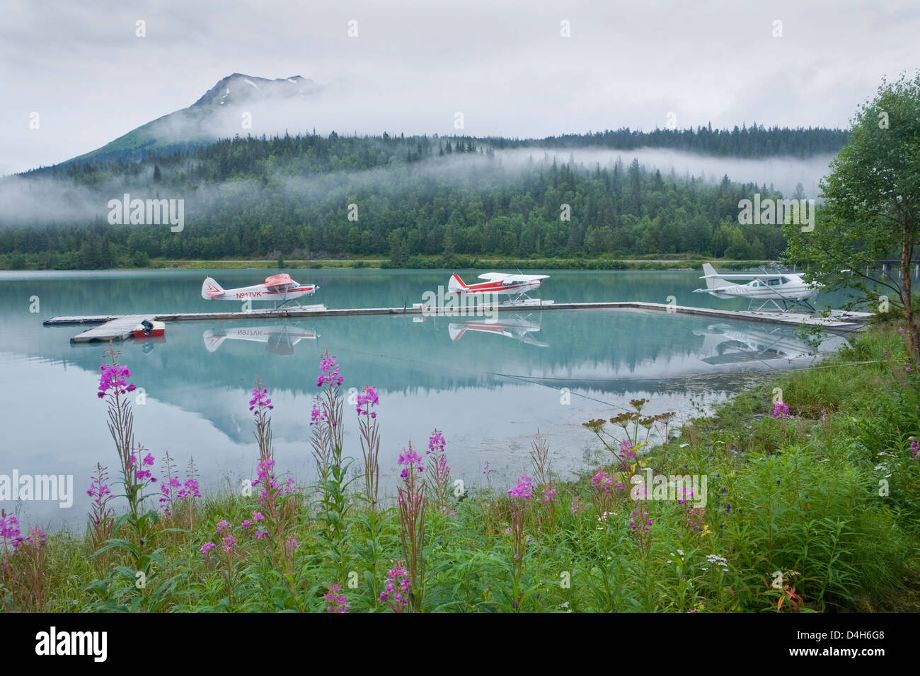 float planes, boat at dock, fireweed (Epilobium augustifolium) in ...