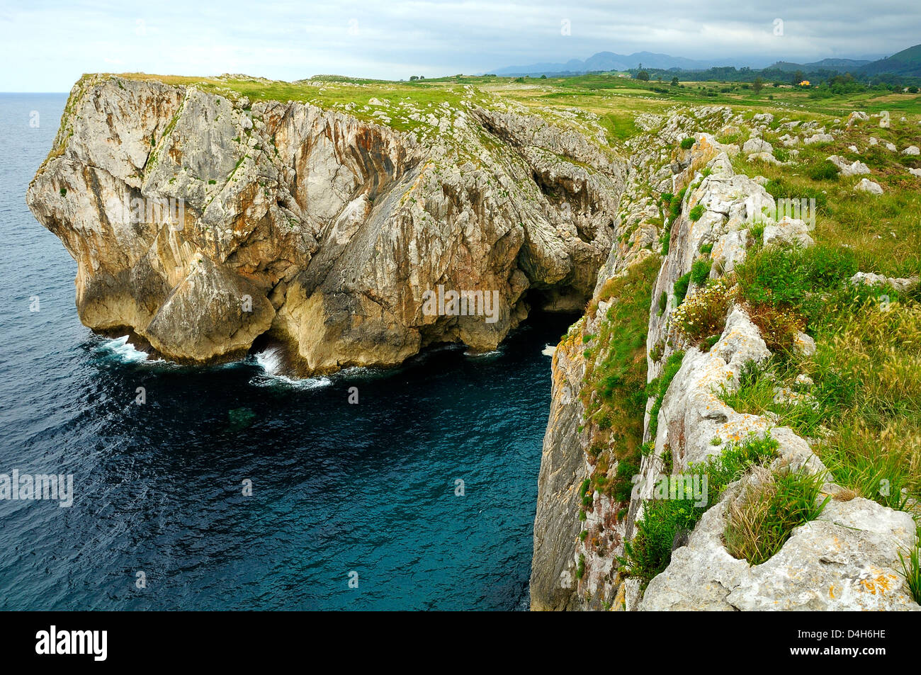 Karst limestone sea cliffs at Pria, with Picos de Europa mountains in ...