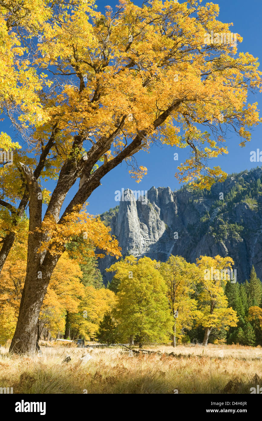 Yosemite Valley, Yosemite National Park, California, USA, El Capitan ...