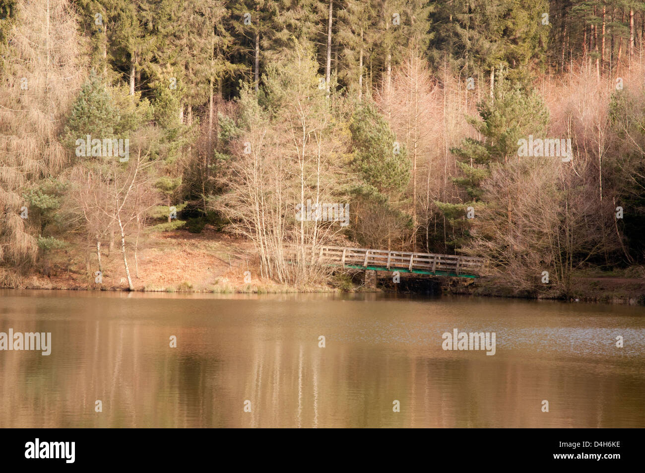 Lakeside trees and vegetation hi-res stock photography and images - Alamy