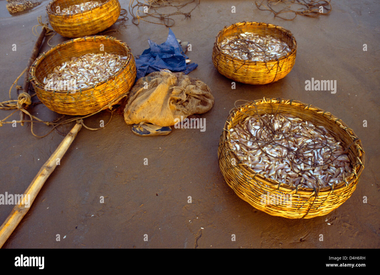 Bay Of Bengal India Fishing Catch Stock Photo - Alamy