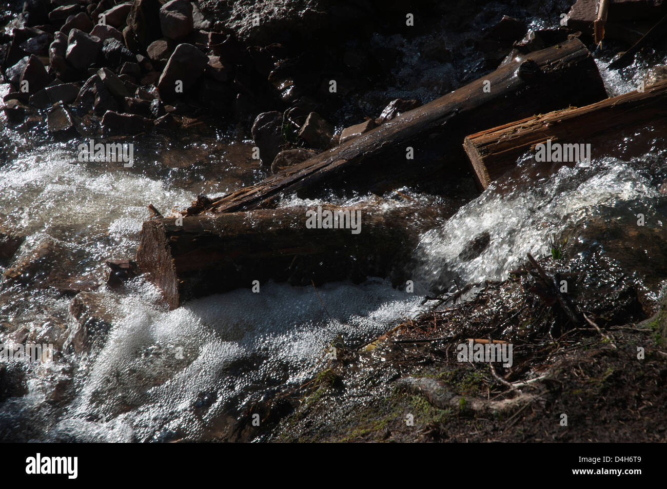 rapidly flowing stream after rainfall, logs, spray, current, rocks,foam ...