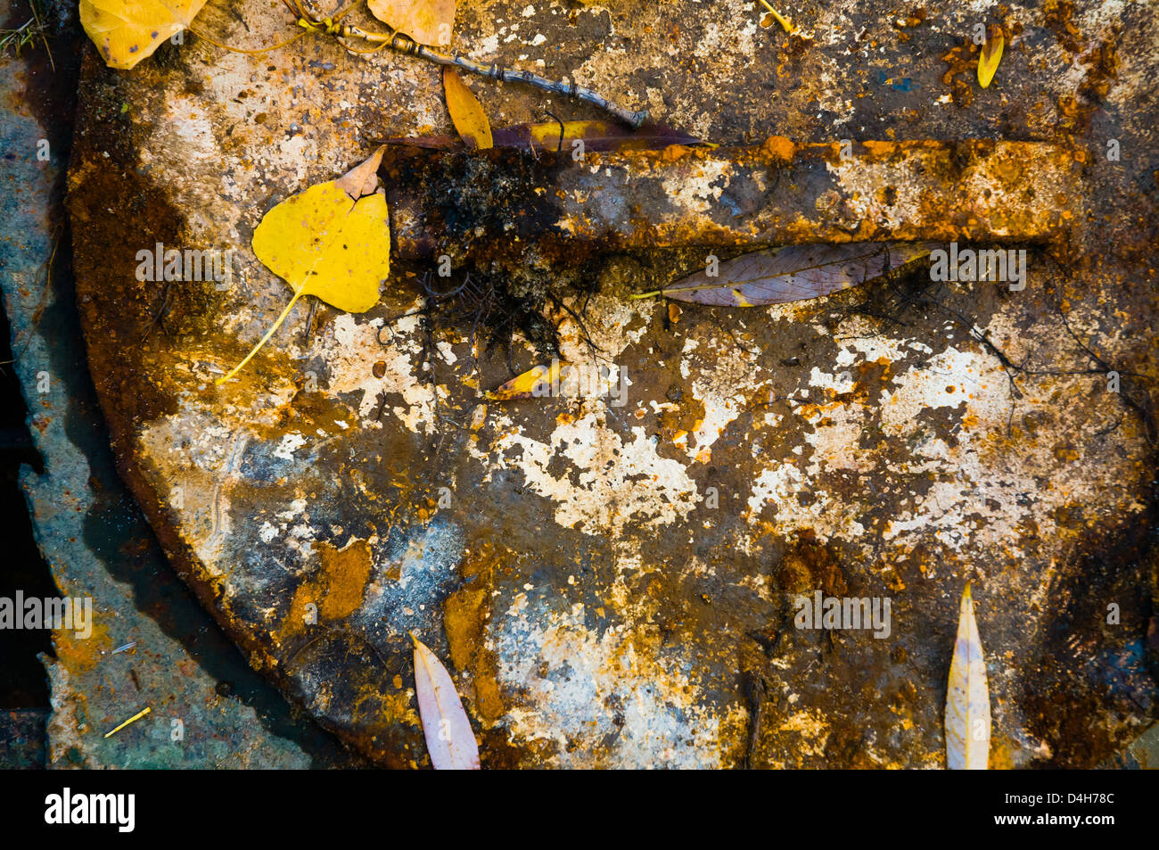 Texture of colored rust metal plate Stock Photo - Alamy