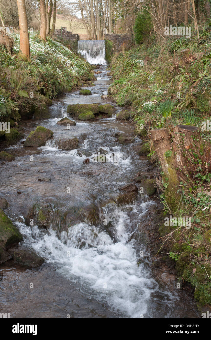 waterfall and stream, fast flowing over rocks in woodland setting with ...