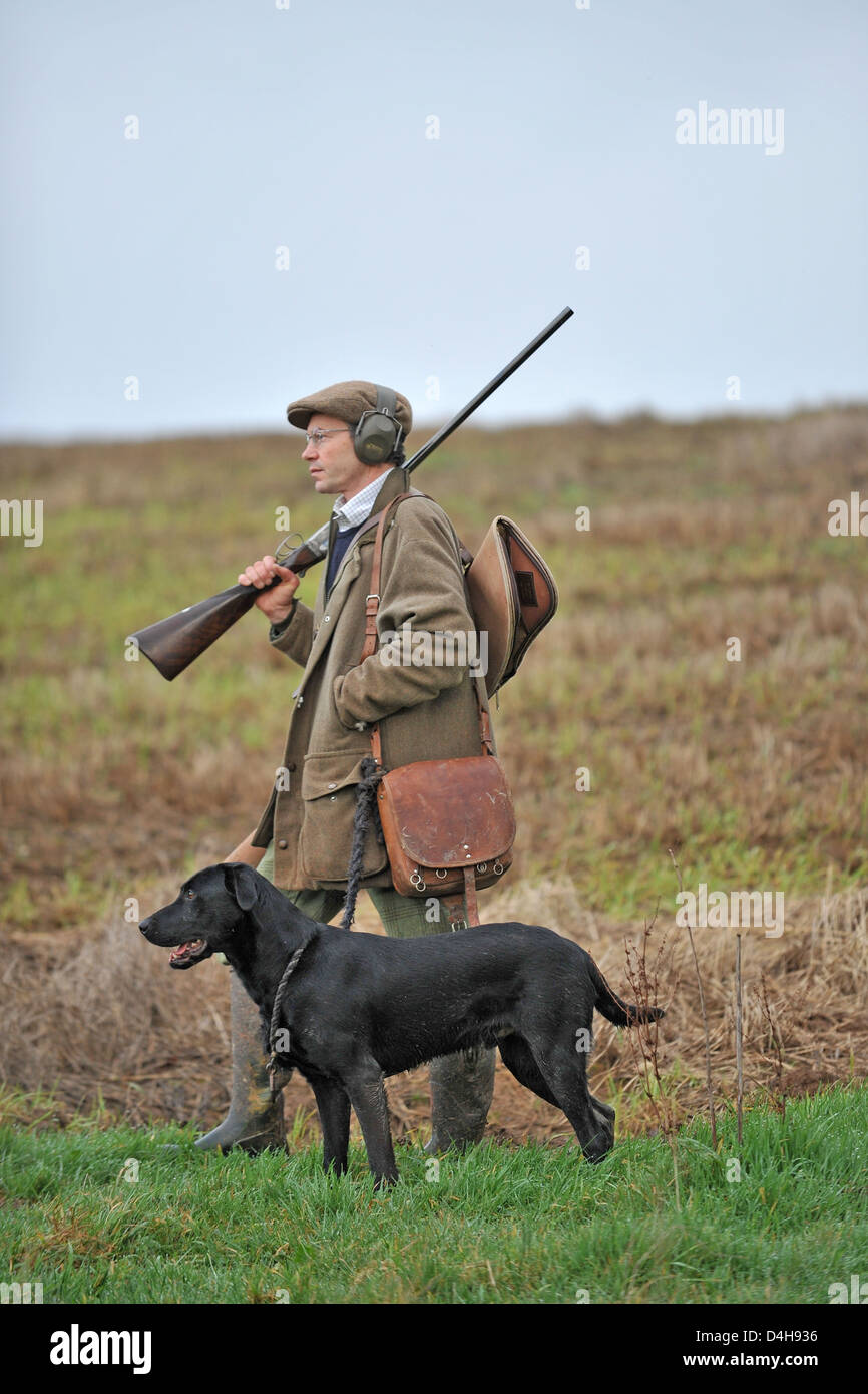 man with gun and dog Stock Photo - Alamy