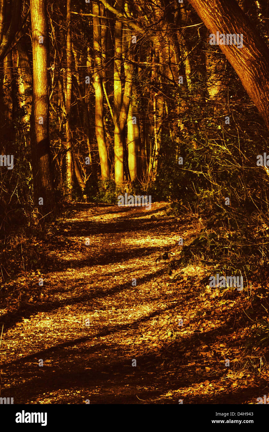 Dark path hi-res stock photography and images - Alamy