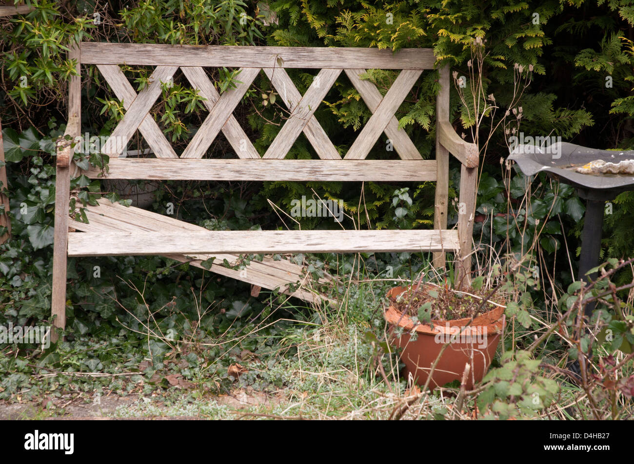 broken wooden garden seat, disrepair, decrepit, weeds, garden ...