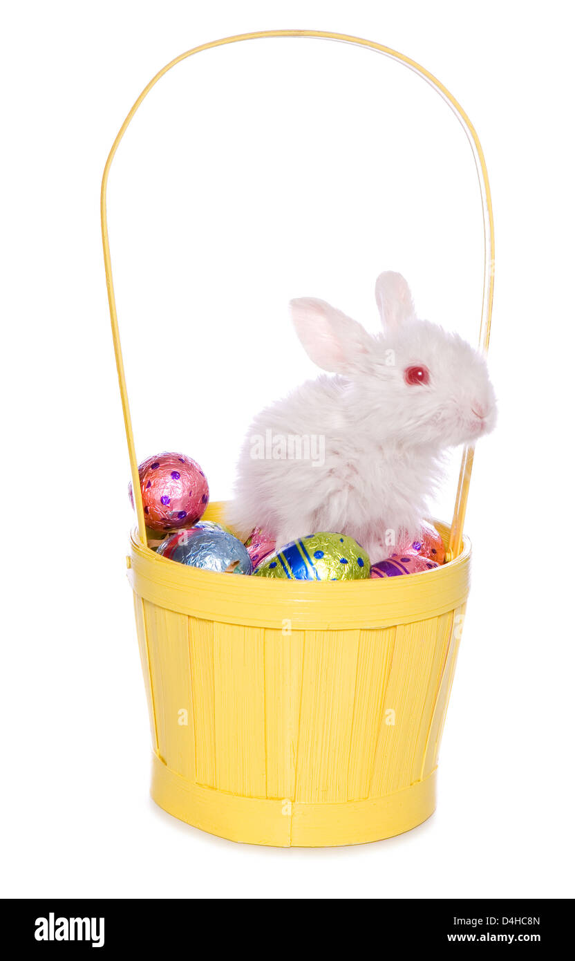 Rabbit in basket hi-res stock photography and images - Alamy