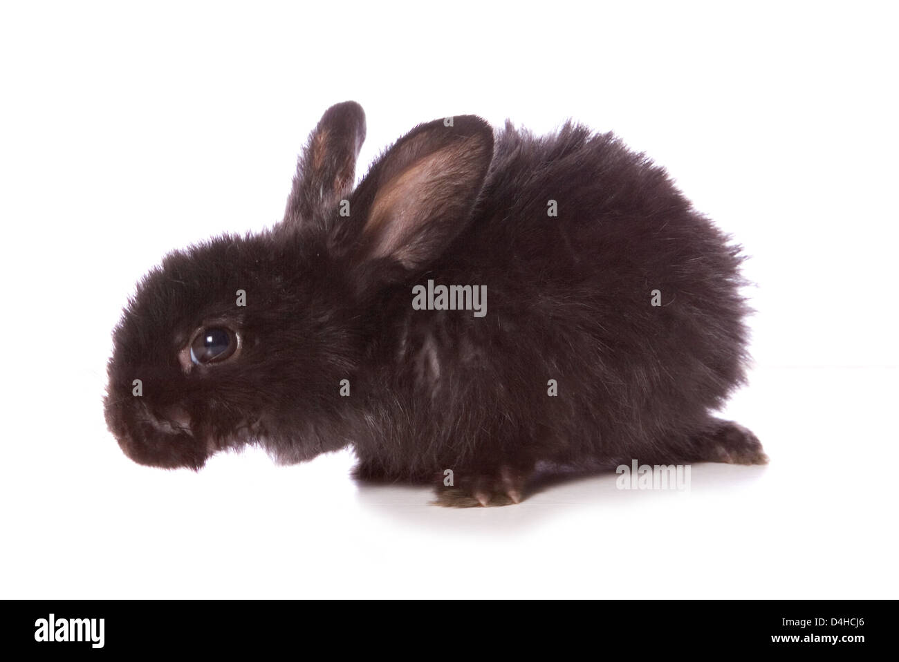 4 week old baby hi-res stock photography and images - Alamy