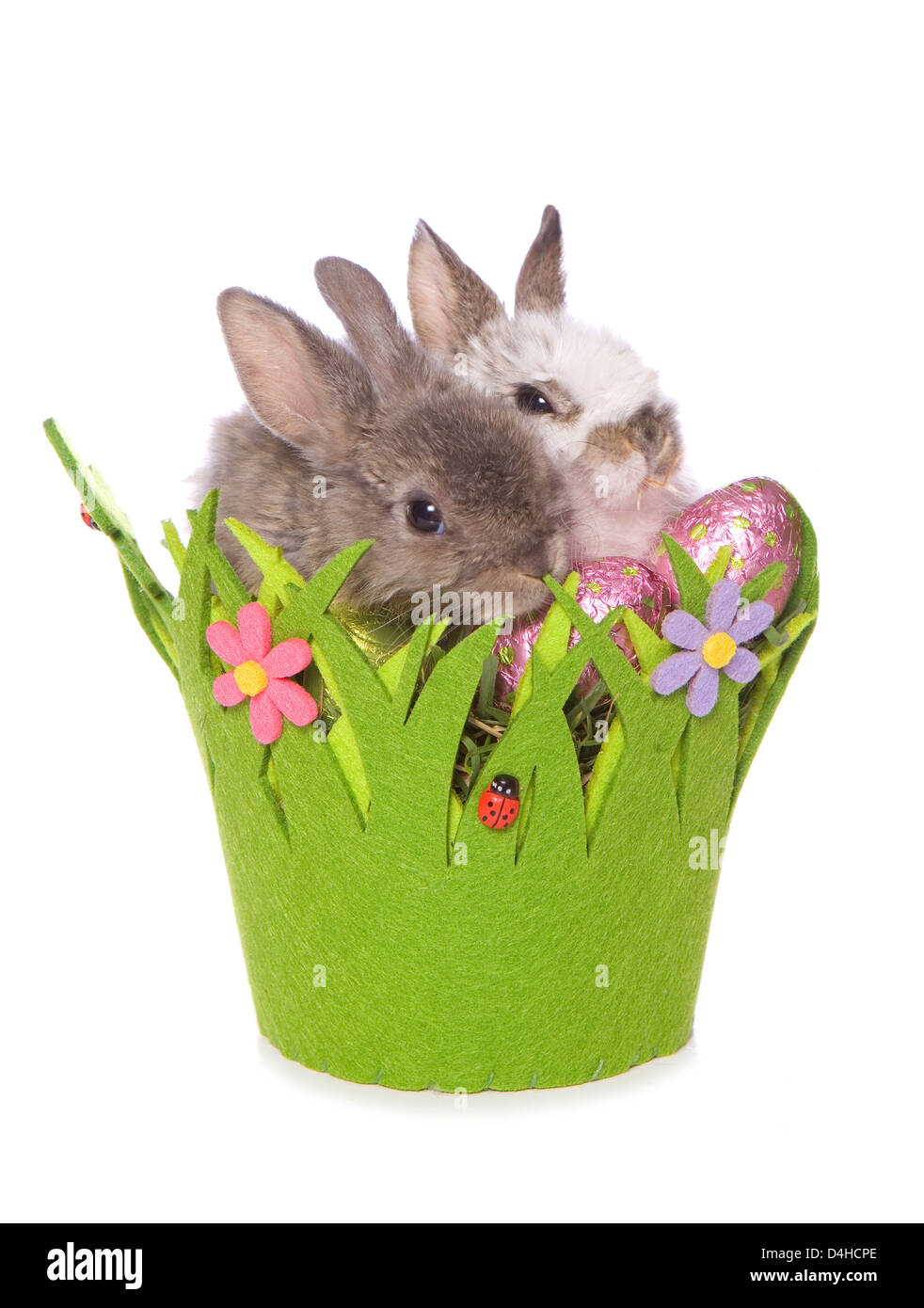 Happy rabbits hi-res stock photography and images - Alamy