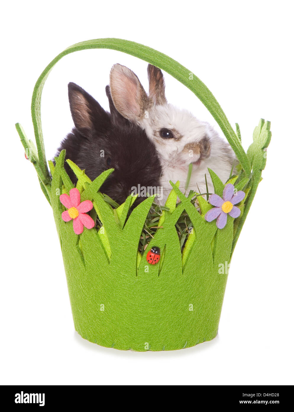 Bunny Rabbit In Basket High Resolution Stock Photography and Images - Alamy