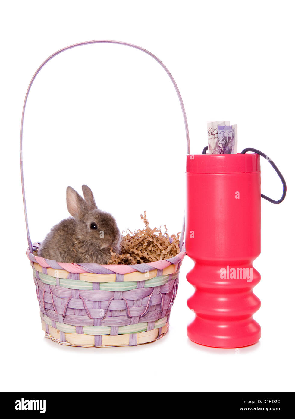 Donation of a pet hi-res stock photography and images - Alamy