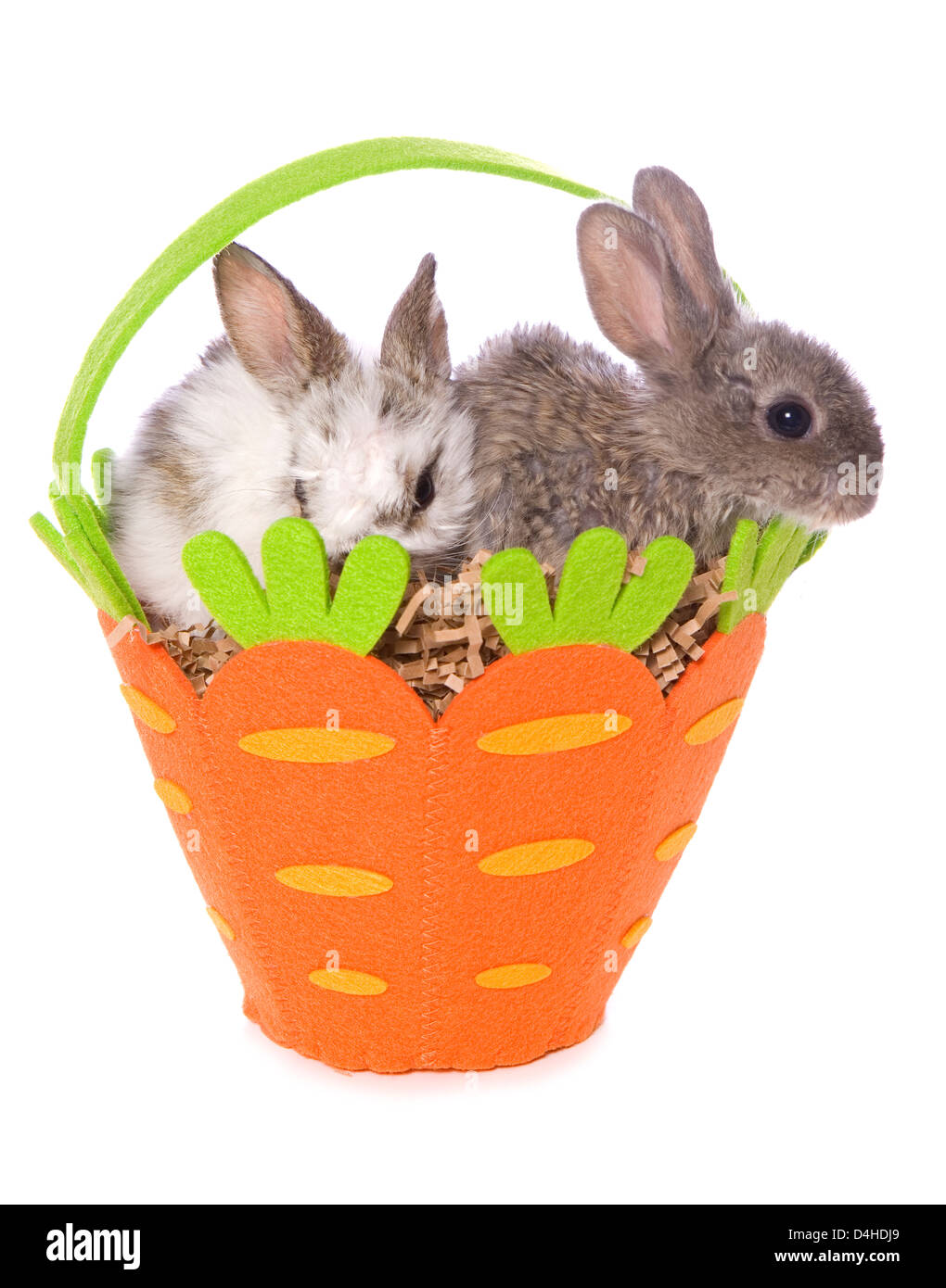 baby rabbits in a basket Stock Photo - Alamy