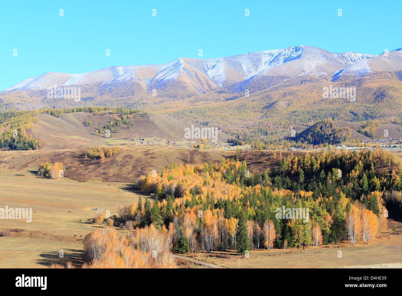 Autumn landscape in Xinjiang China Stock Photo - Alamy