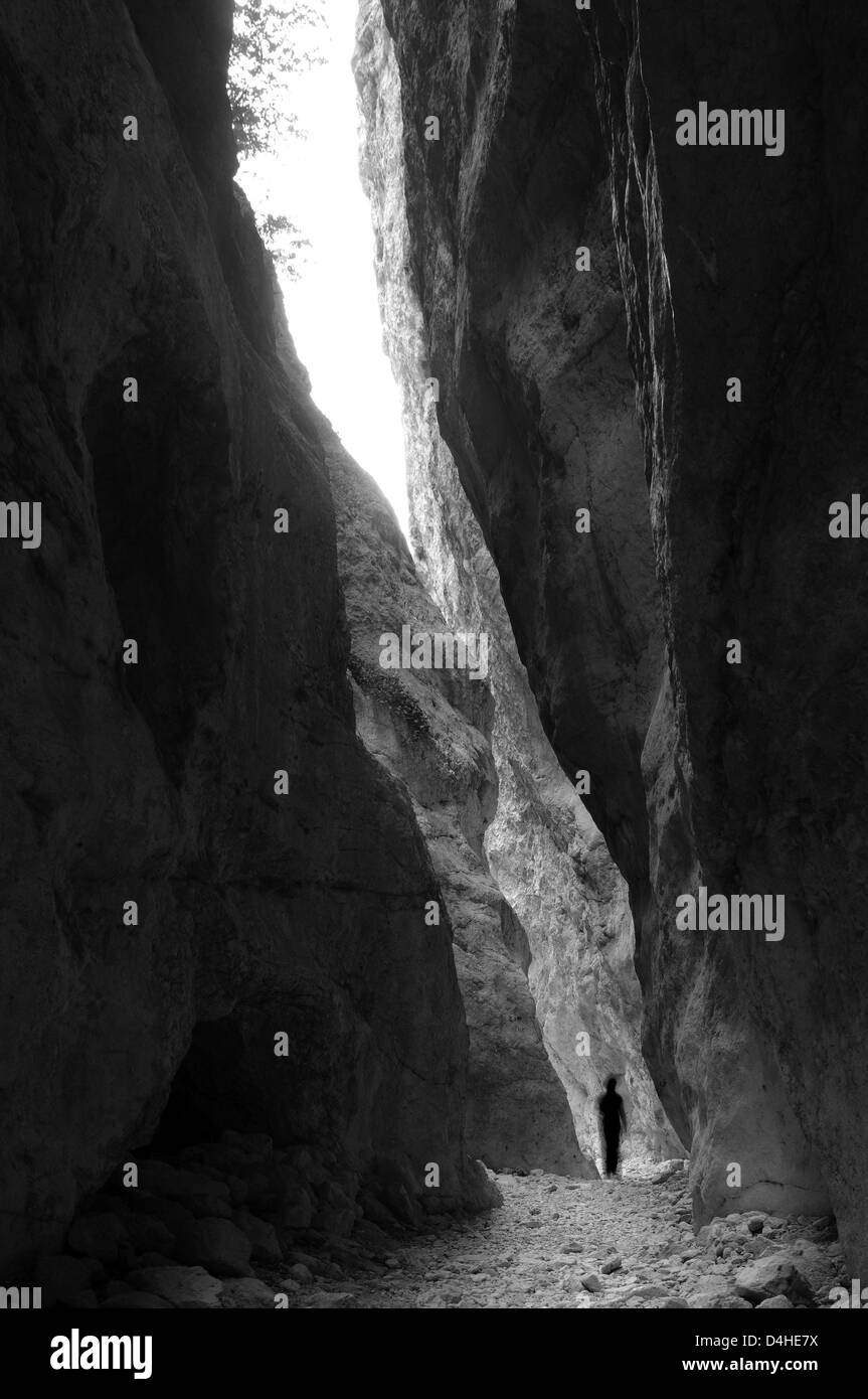 @natural Black and White Stock Photos & Images - Alamy