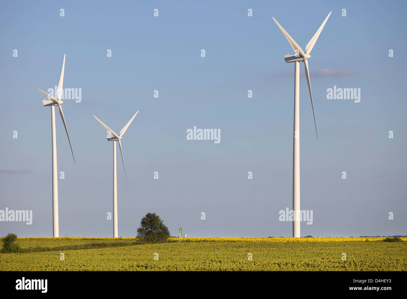 farm of windturbines in the north of France Stock Photo - Alamy